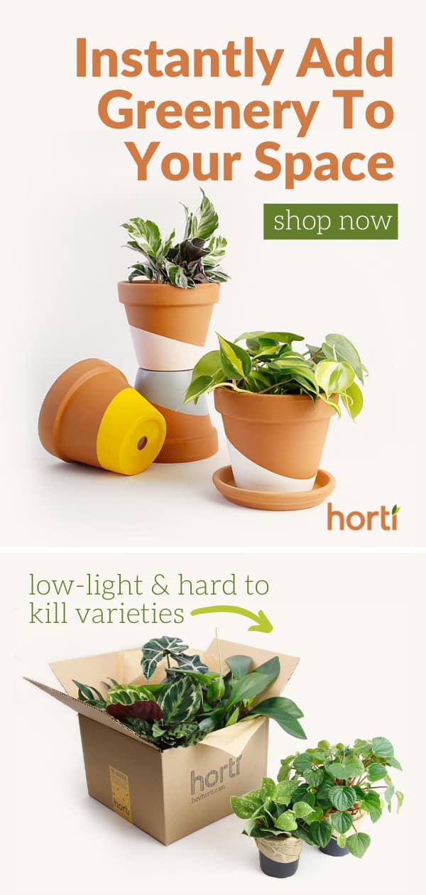 Pin Portfolio | Simple Pin Media