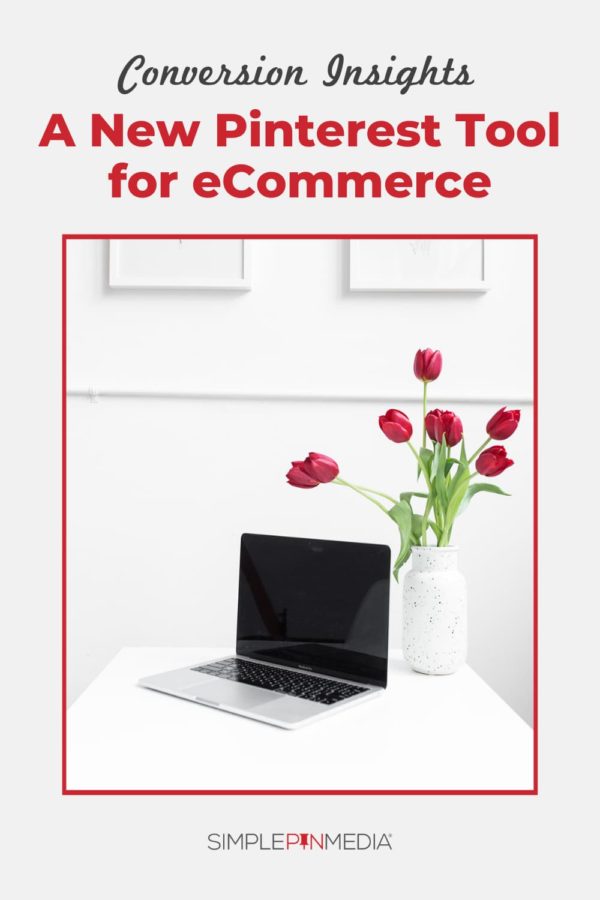 New Pinterest Tool for eCommerce: How to Use Conversion insights