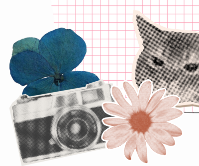 How to Use Pinterest Collages